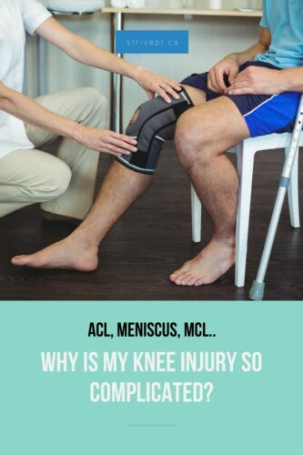 Blog | Strive Physiotherapy & Performance