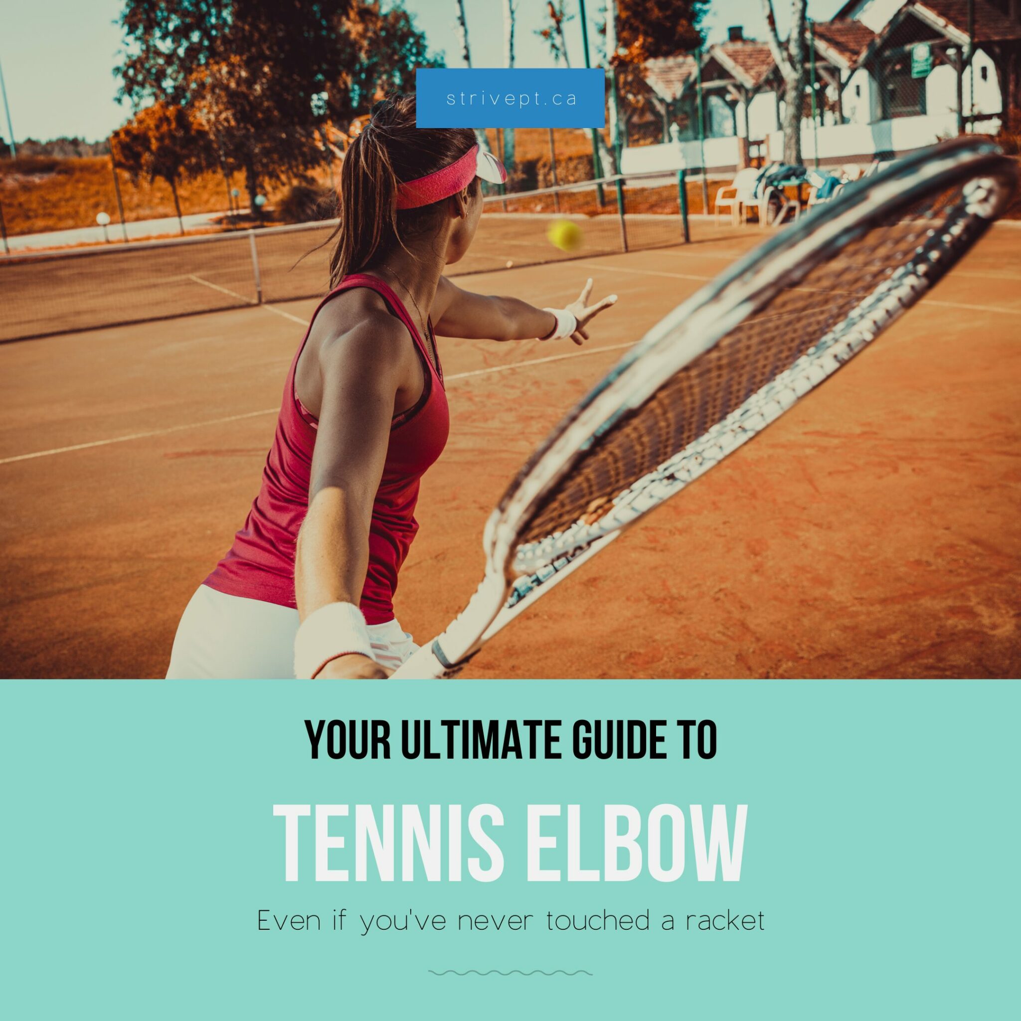 Blog | Strive Physiotherapy & Performance